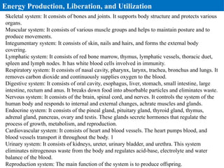 TractorErgonomics_Sahoo avuvcvdwcgdw.pptx