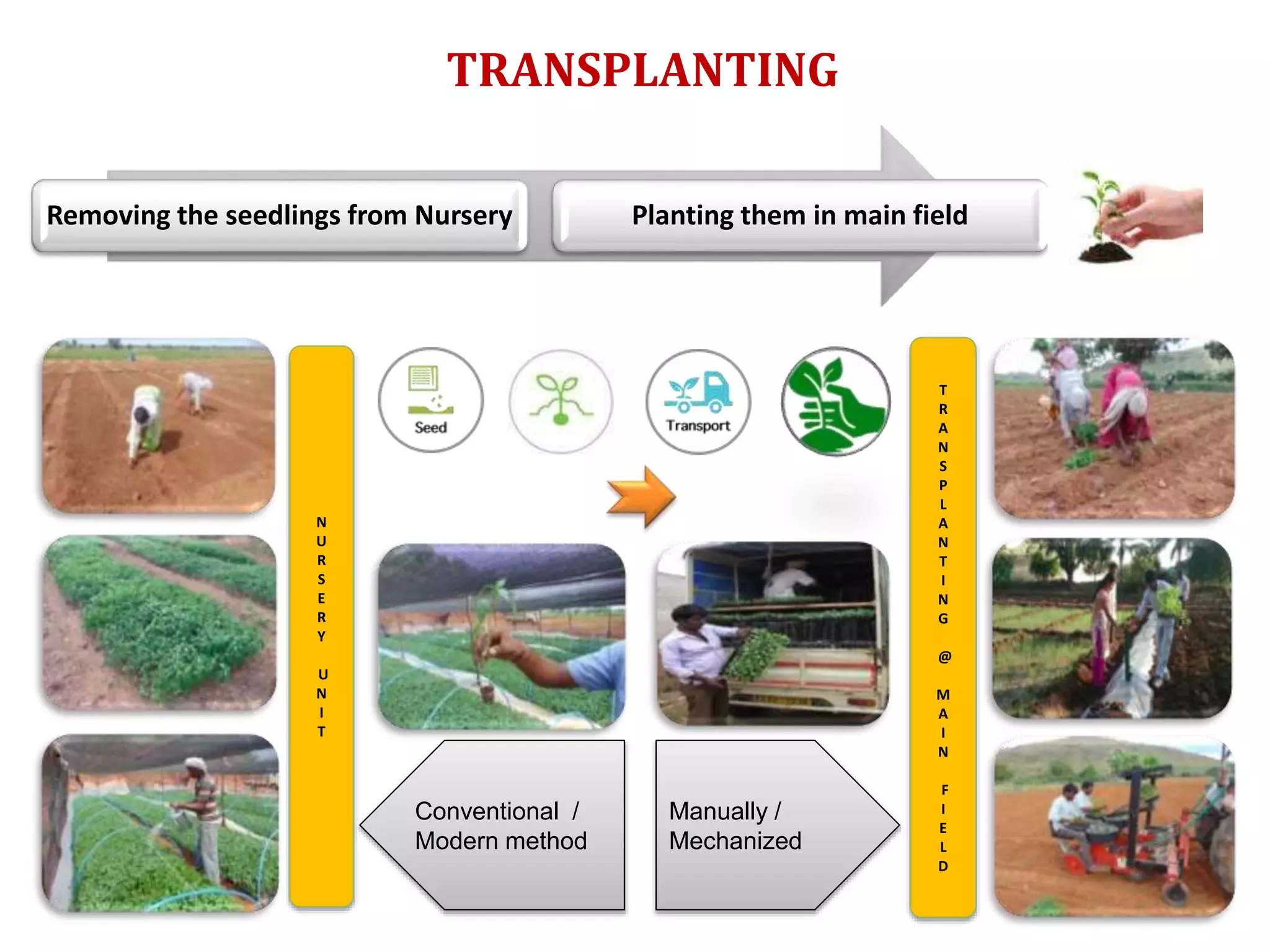 Tractor mounted vegetable transplanter | PPTX