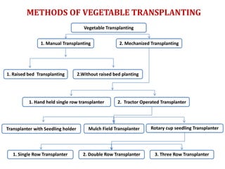 Tractor mounted vegetable transplanter | PPTX