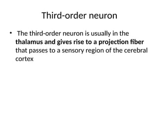 tracts of spinal cord in neurology.pptx