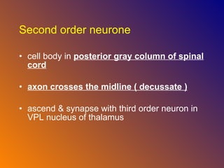 Tracts (ascending and descending) | PPT