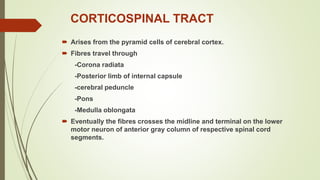 Tracts of spinal cord | PPTX