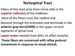 Tracts of spinal cord..............2.pdf