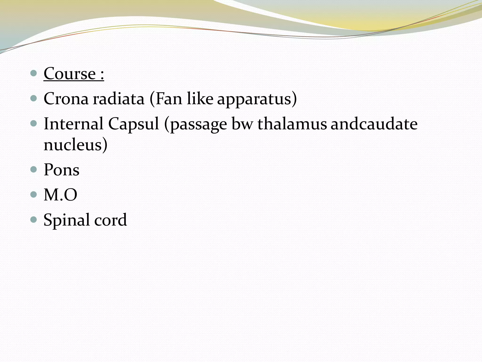 Tracts of spinal cord (1) | PPTX