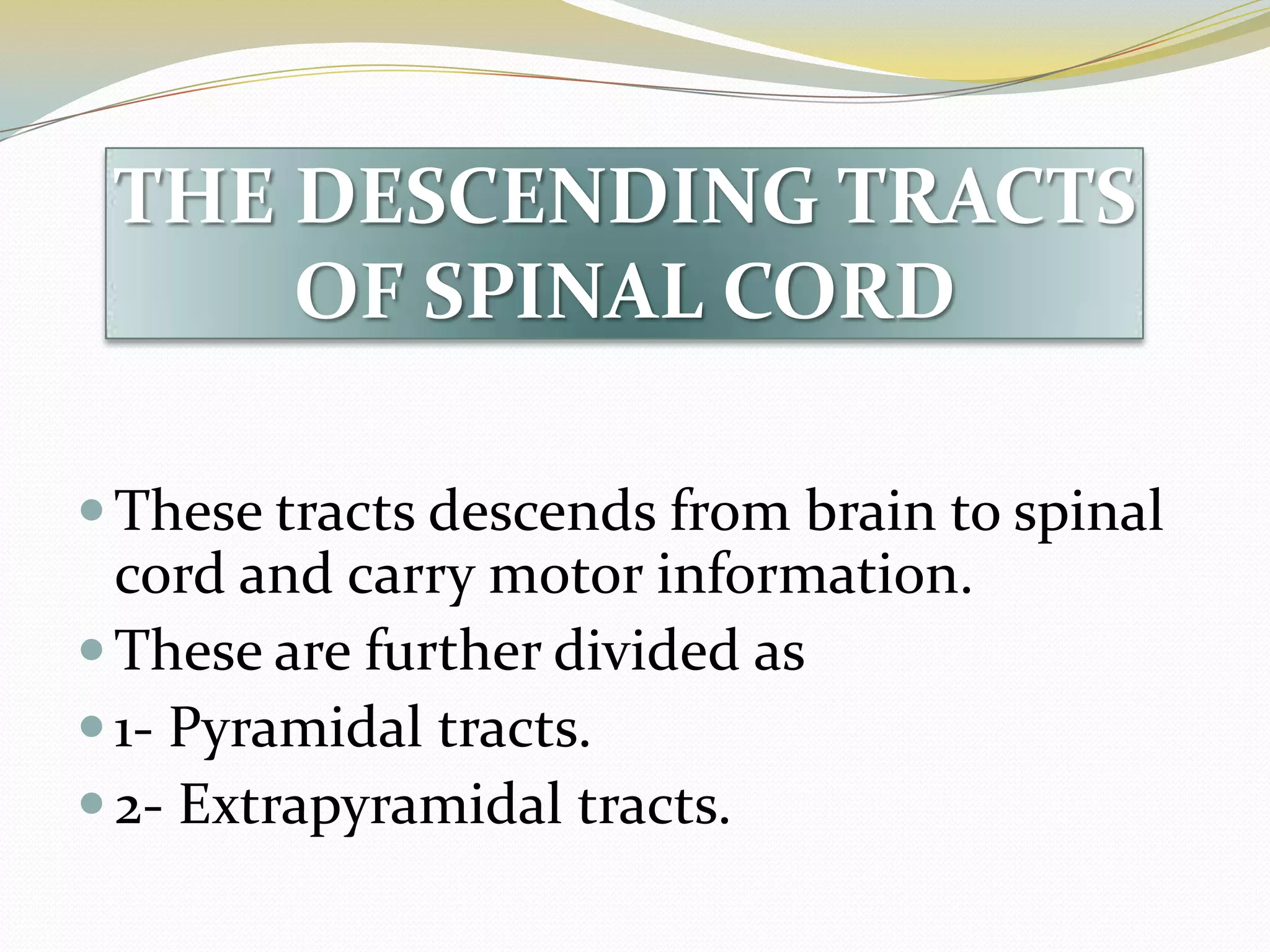 Tracts of spinal cord (1) | PPTX