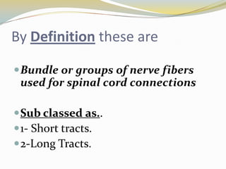 Tracts of spinal cord (1) | PPTX