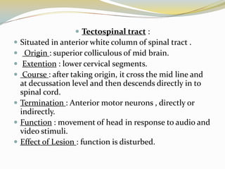 Tracts of spinal cord (1) | PPTX