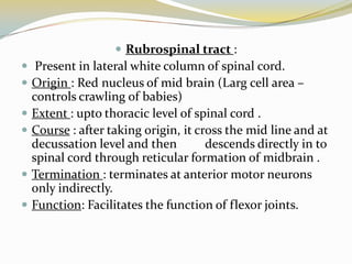 Tracts of spinal cord (1) | PPTX