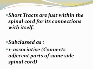 Tracts of spinal cord (1) | PPTX