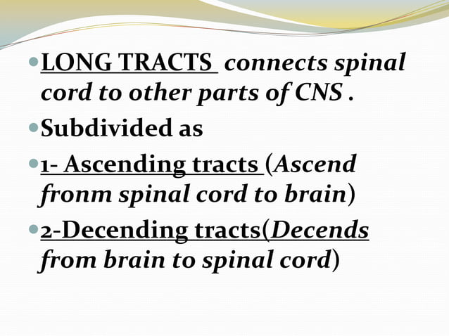 Tracts of spinal cord (1) | PPTX