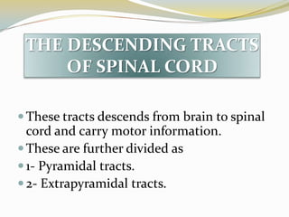 Tracts of spinal cord (1) | PPTX