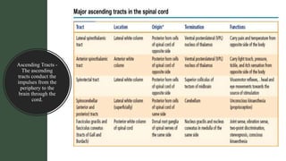Tracts of the Brain and Spinal Cord.pptx
