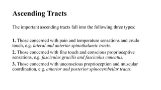 Tracts of the Brain and Spinal Cord.pptx | Free Download
