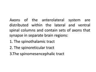 Tracts of the spinalcord | PPTX