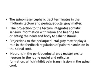Tracts of the spinalcord | PPTX
