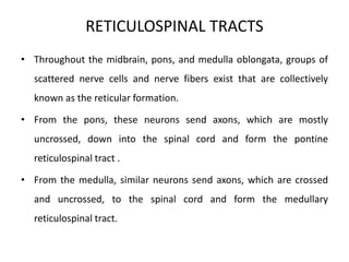 Tracts of the spinal cord | PPTX