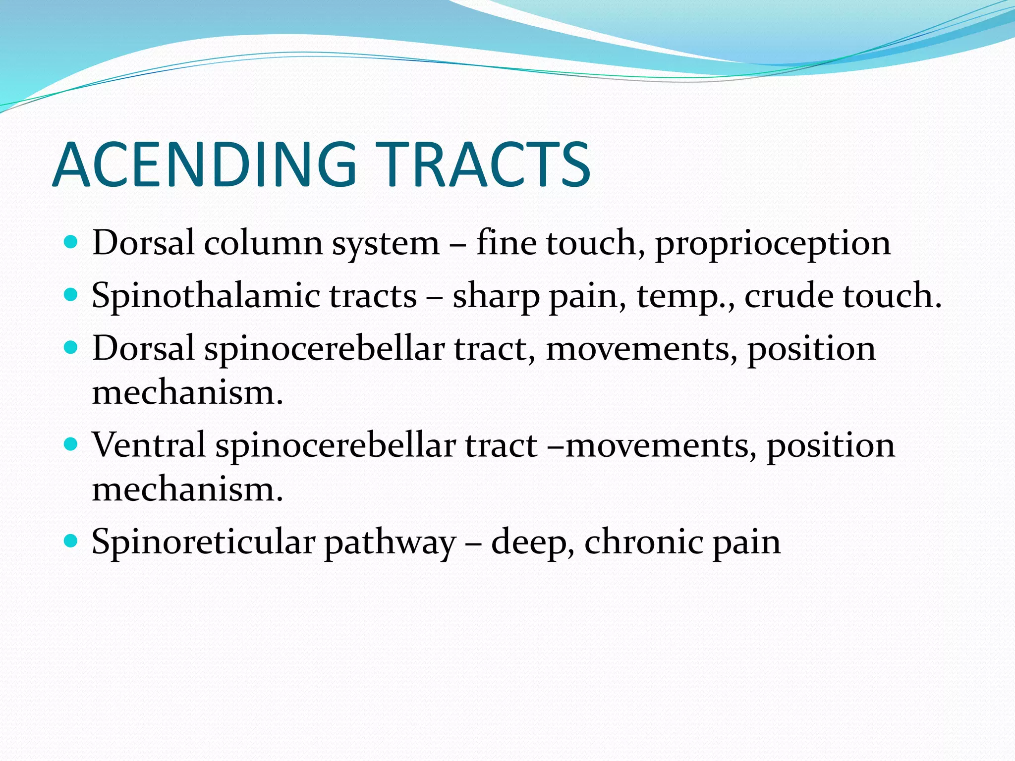 TRACTS OF THE SPINAL CORD.pptx