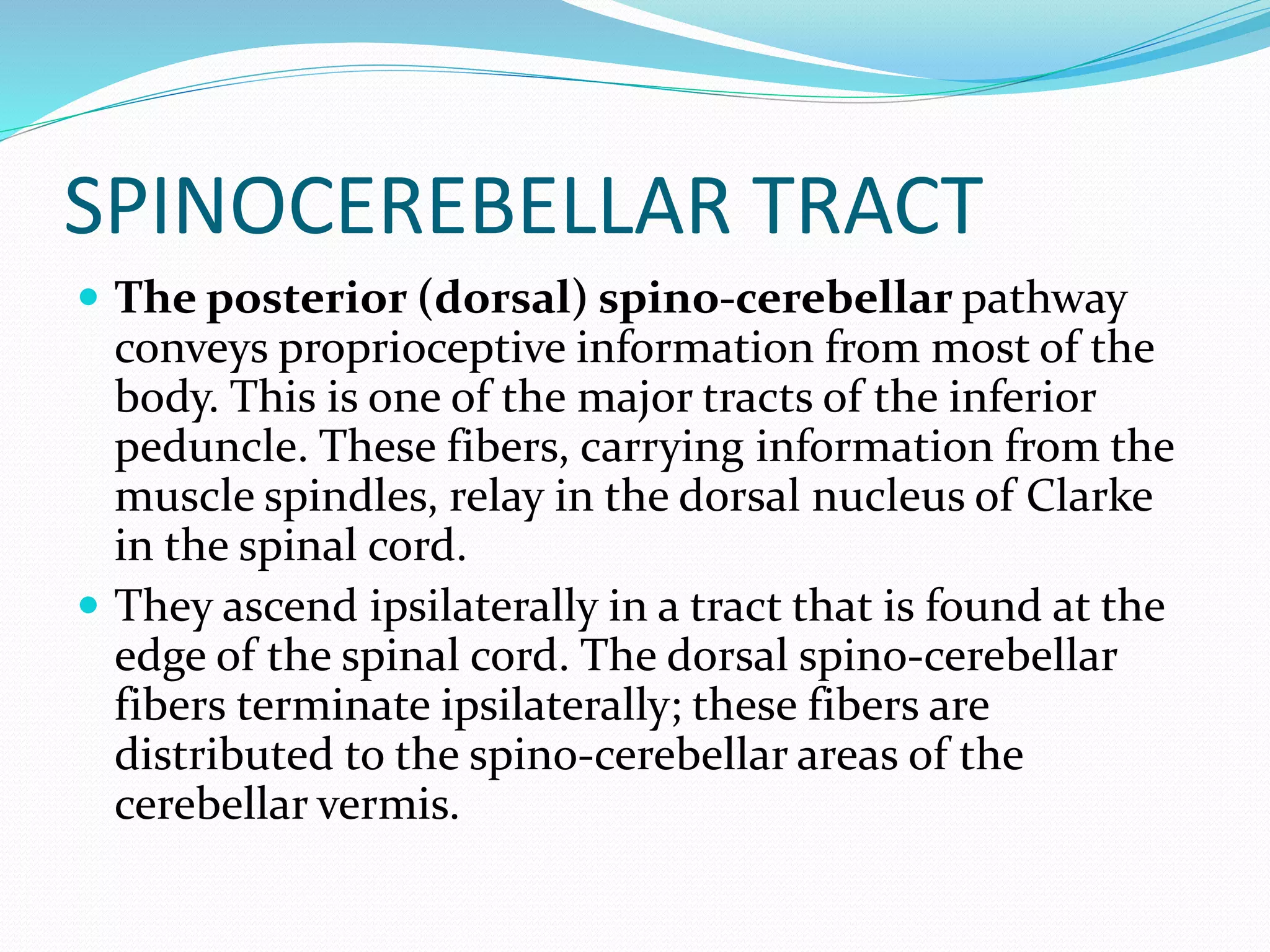 TRACTS OF THE SPINAL CORD.pptx