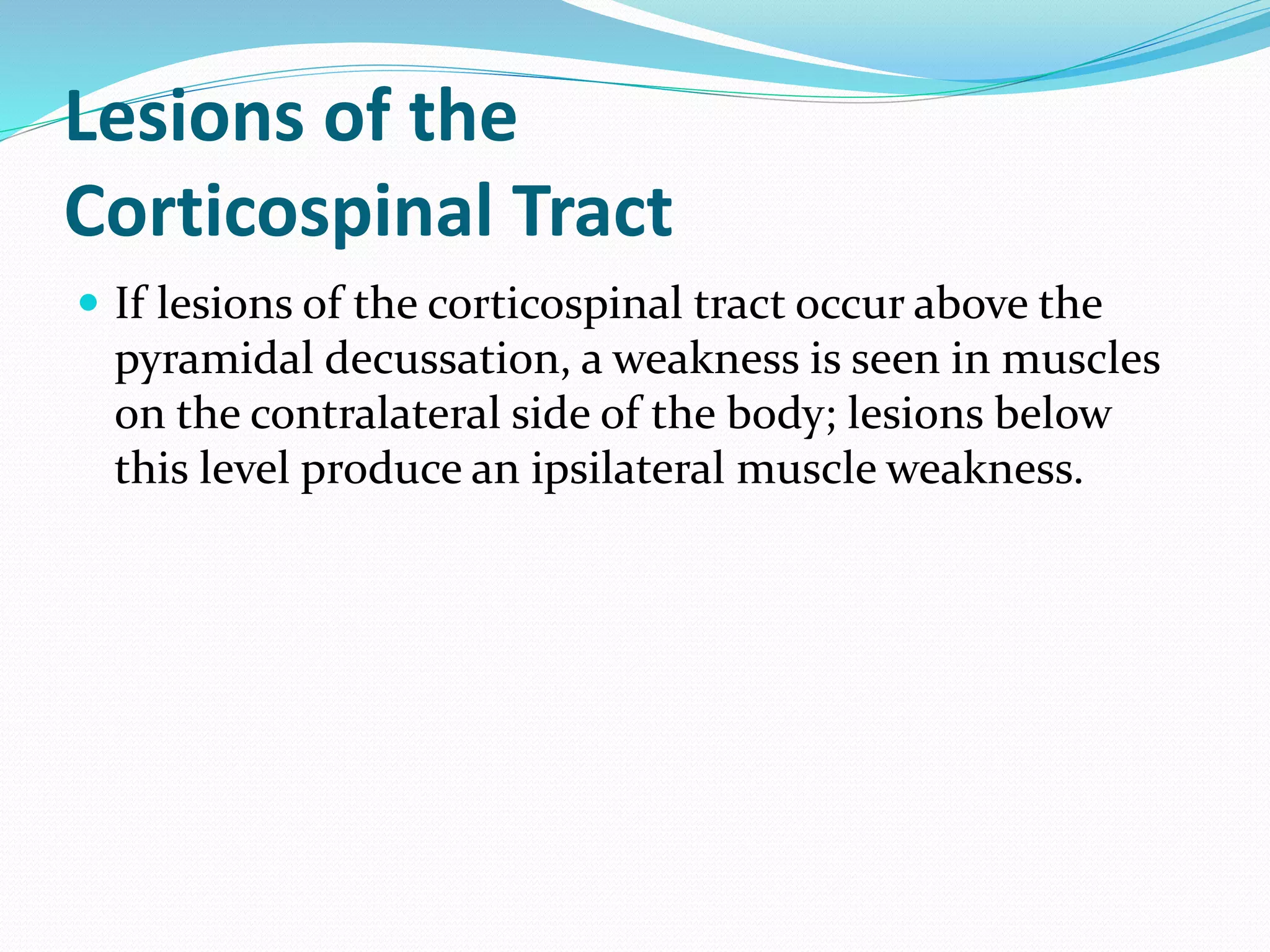 TRACTS OF THE SPINAL CORD.pptx