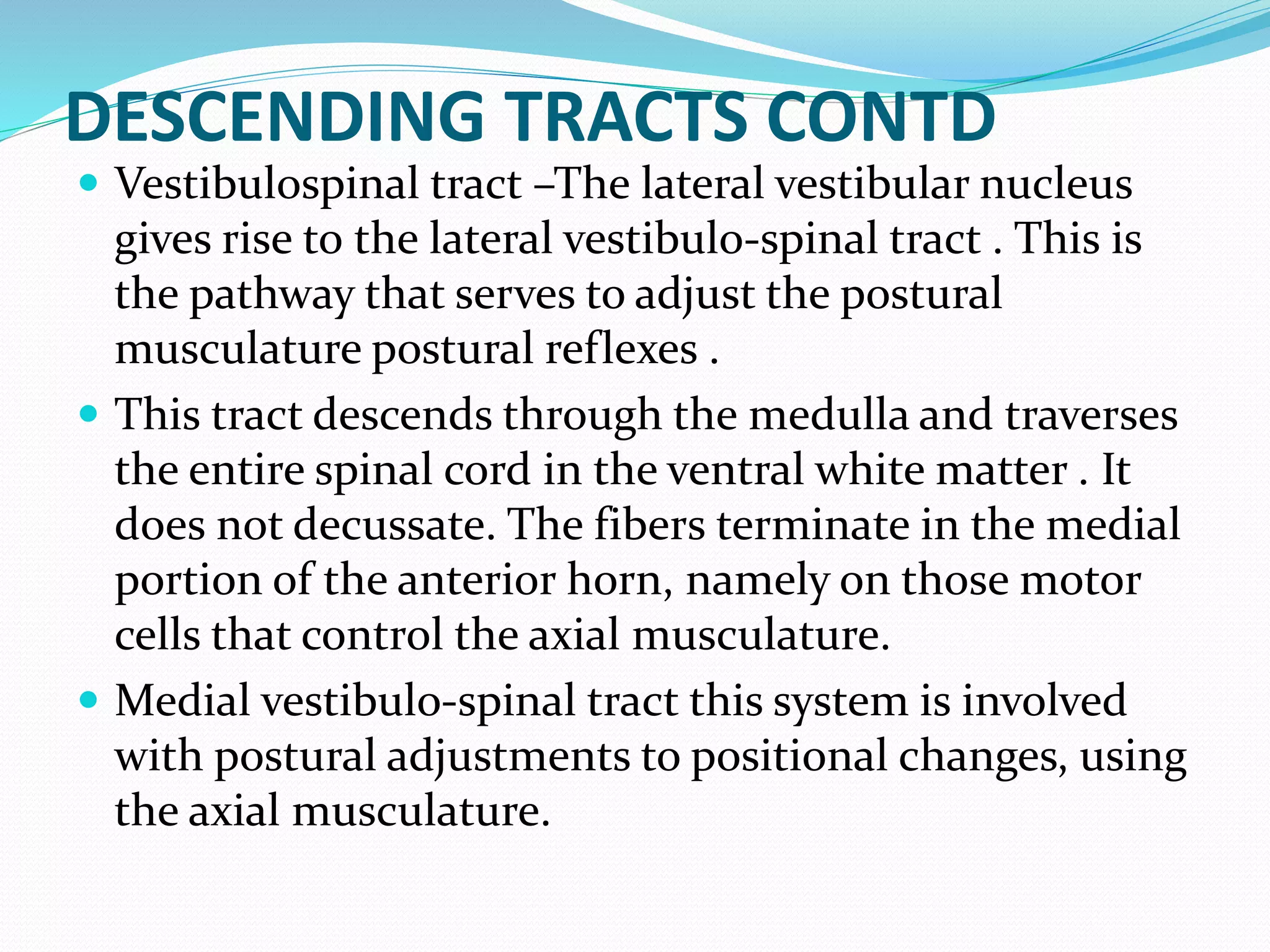 TRACTS OF THE SPINAL CORD.pptx