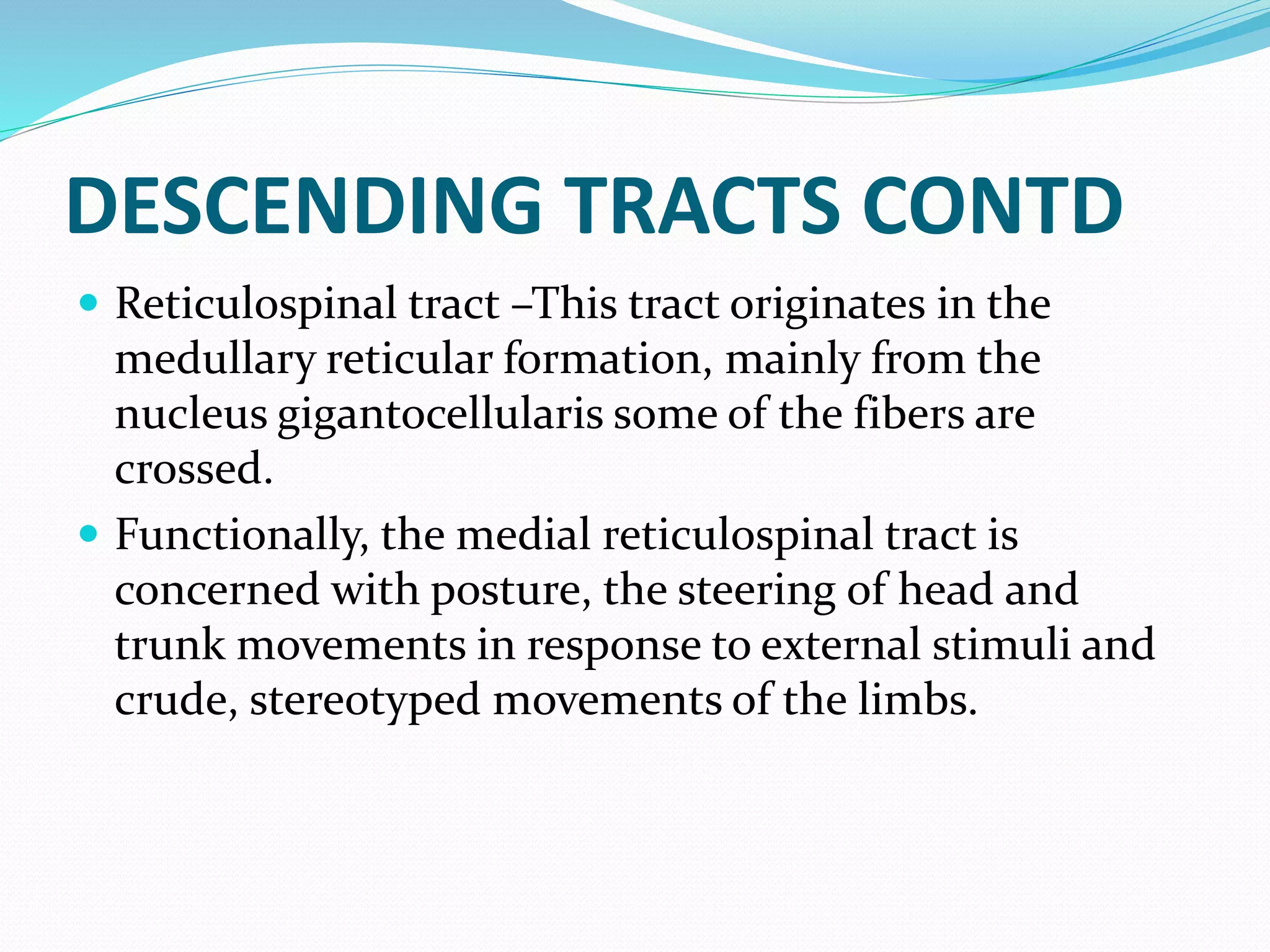 TRACTS OF THE SPINAL CORD.pptx