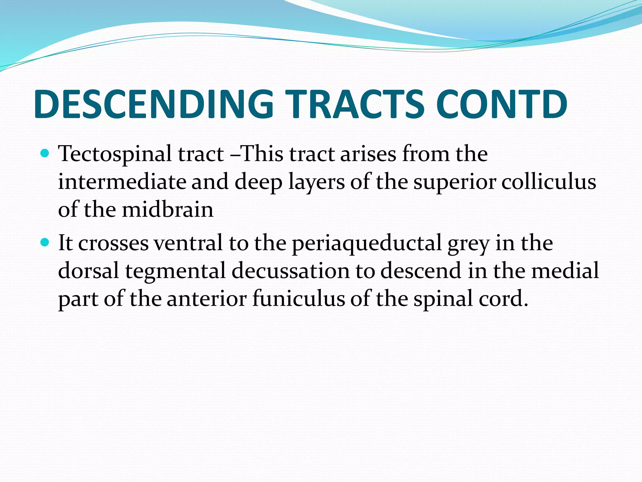 TRACTS OF THE SPINAL CORD.pptx