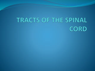 TRACTS OF THE SPINAL CORD.pptx