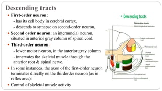 Tracts spinal cord dr bikal | PPTX