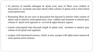 Tracts spinal cord dr bikal | PPT