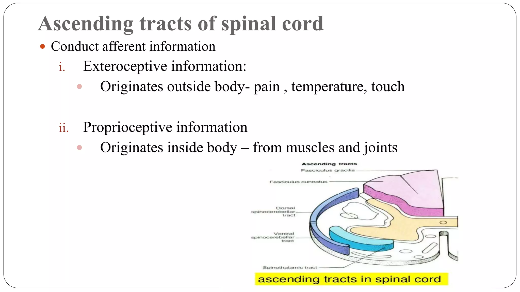Tracts spinal cord dr bikal | PPT