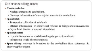 Tracts spinal cord dr bikal | PPT