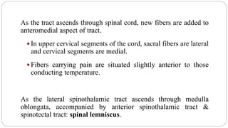 Tracts spinal cord dr bikal | PPT