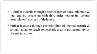 Tracts spinal cord dr bikal | PPTX