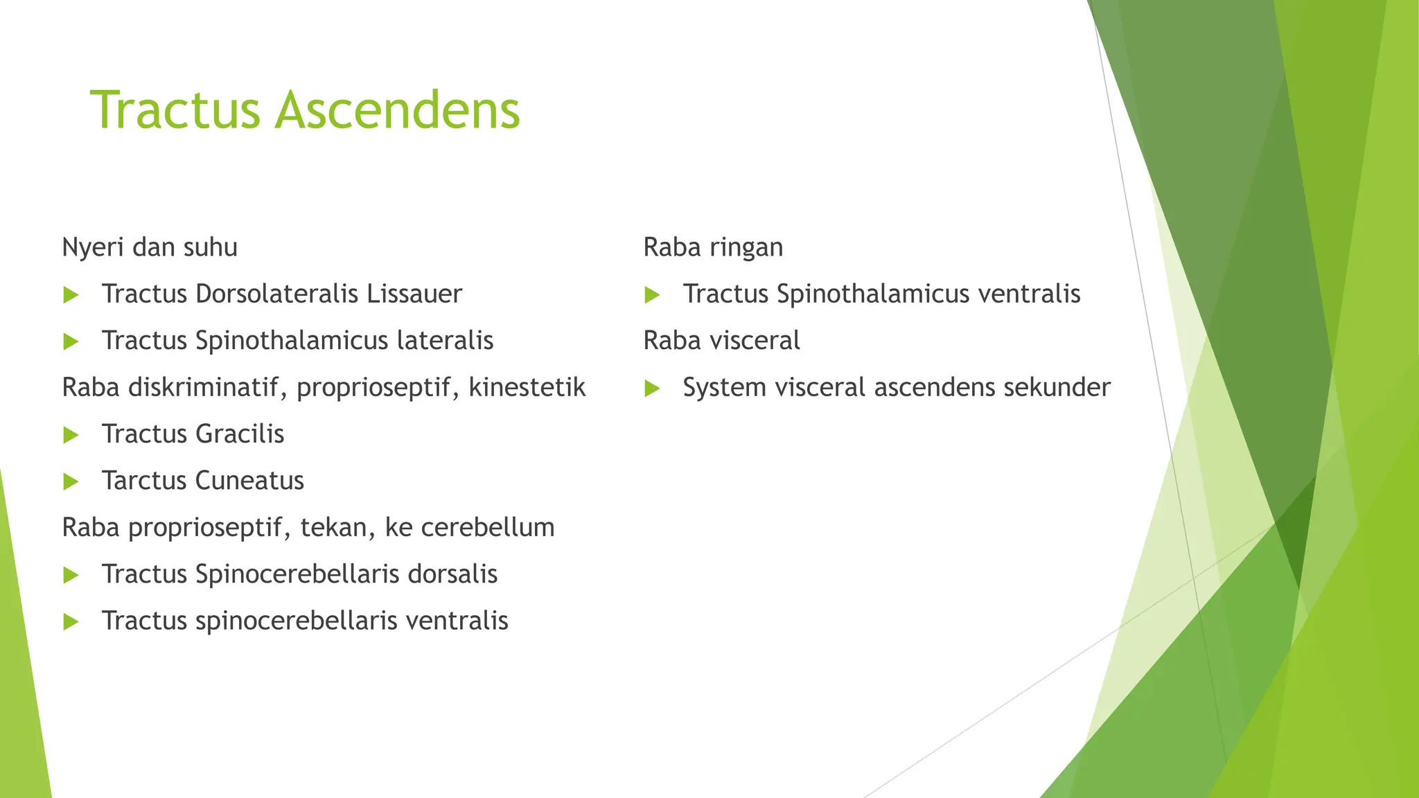 power point mengenai tractus Spinalis.pptx