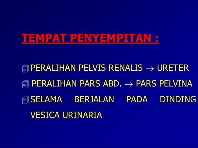 Tractus uropoetica SEMESTER 2 kd 2 anatomy