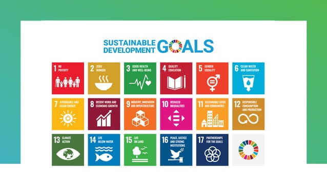sustainable development goals lesson and how these SDGs align with your ...