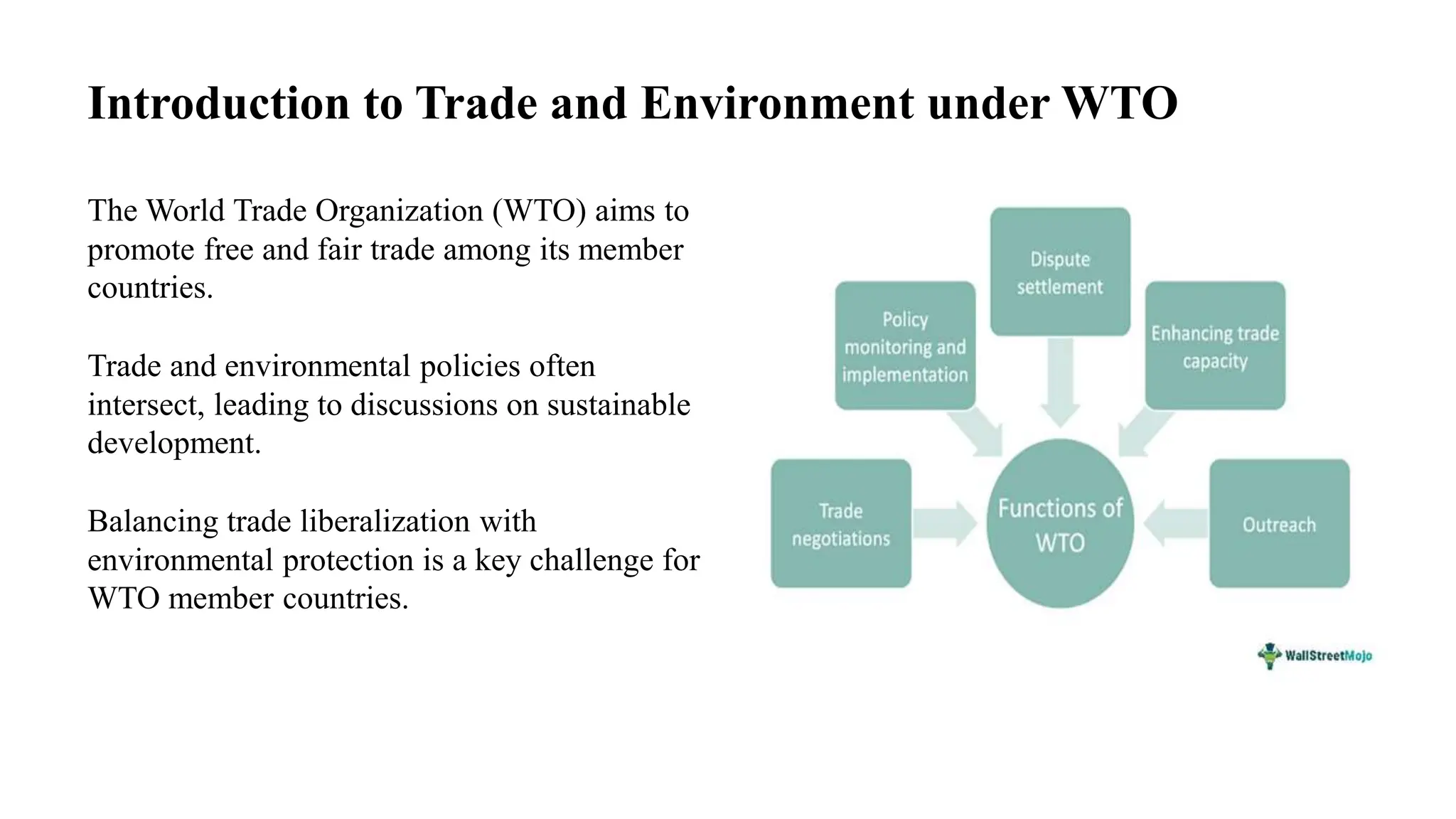 Law for Trade And Environment Under Wto.pptx