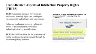 Law for Trade And Environment Under Wto.pptx