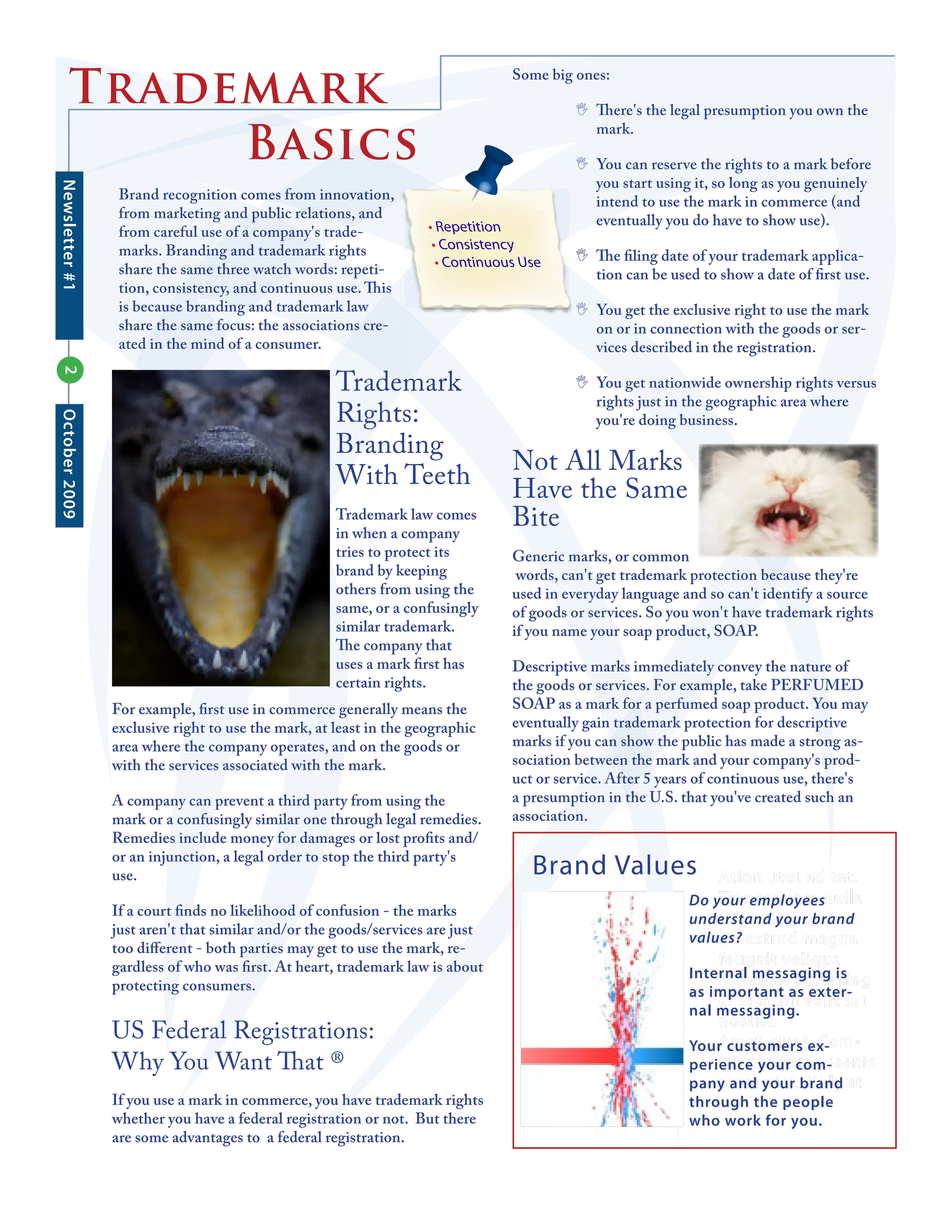 Trademark basics | PDF