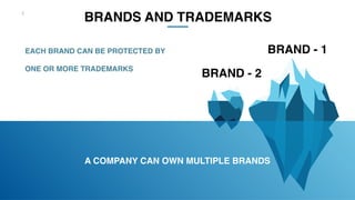 Training Session | Trademark Basics | Brand Protection Strategy | PDF