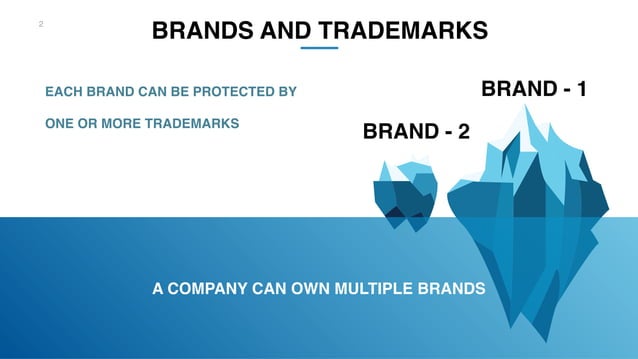 Training Session | Trademark Basics | Brand Protection Strategy | PPT
