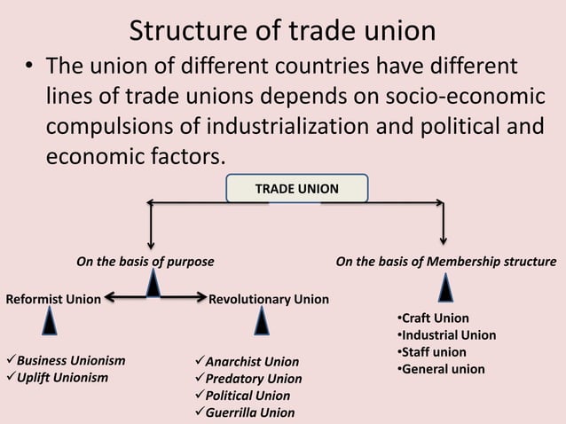 Trade union | PPTX | Business | Business and Finance