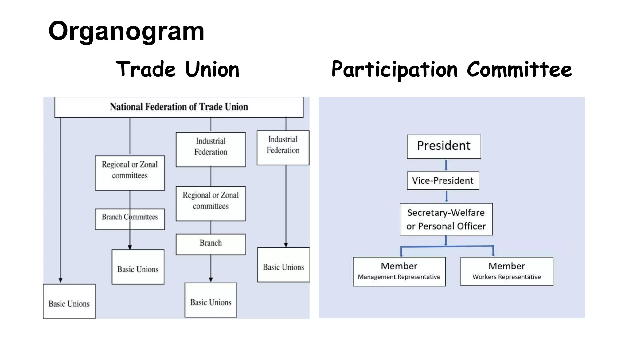 Trade Union & PC Committee.pptx