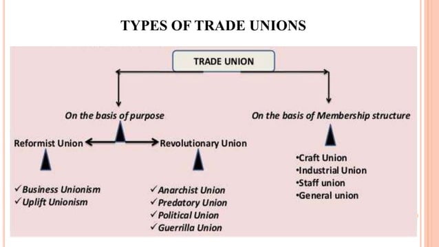Trade union Introduction and Types of Trade Union