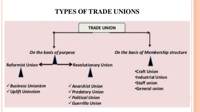 Trade union Introduction and Types of Trade Union