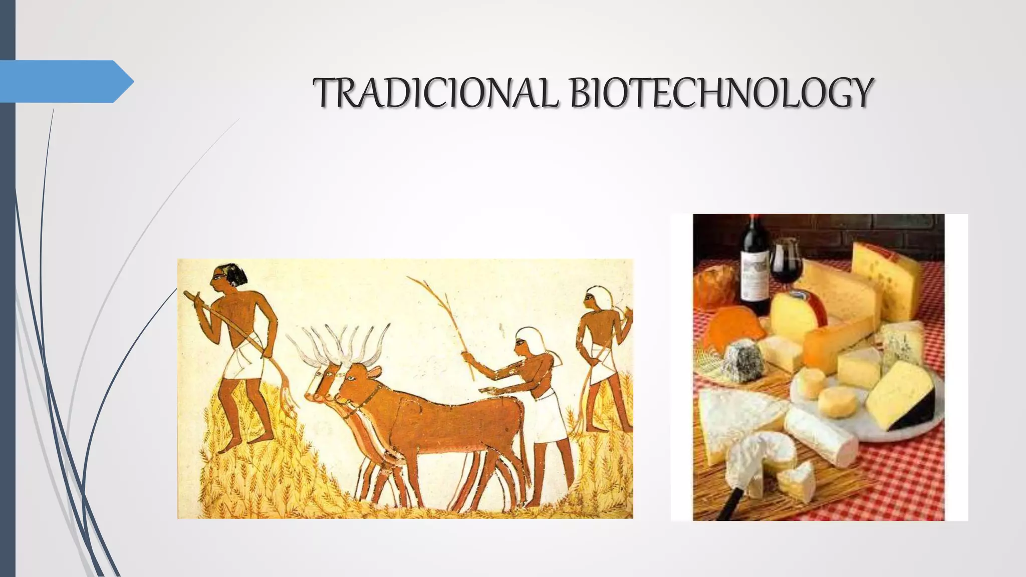 Traditional biotechnology | PPTX