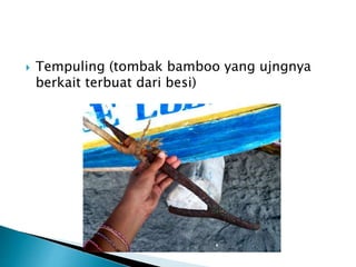 Tradisi menangkap ikan Paus di Lamahera | PPTX