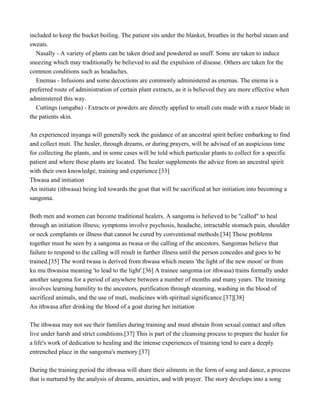 Traditional healers in South Africa | PDF