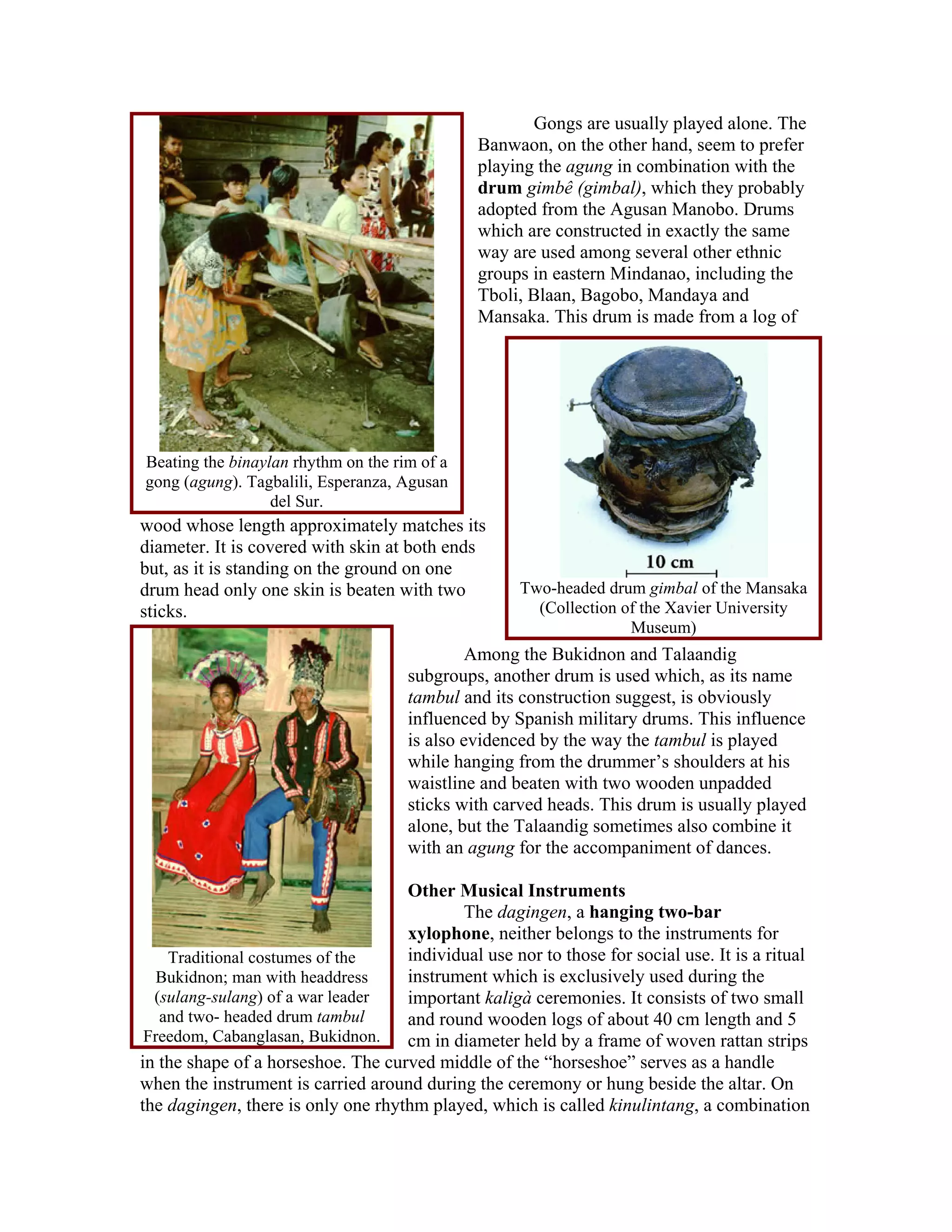 Traditional musical-instruments | PDF