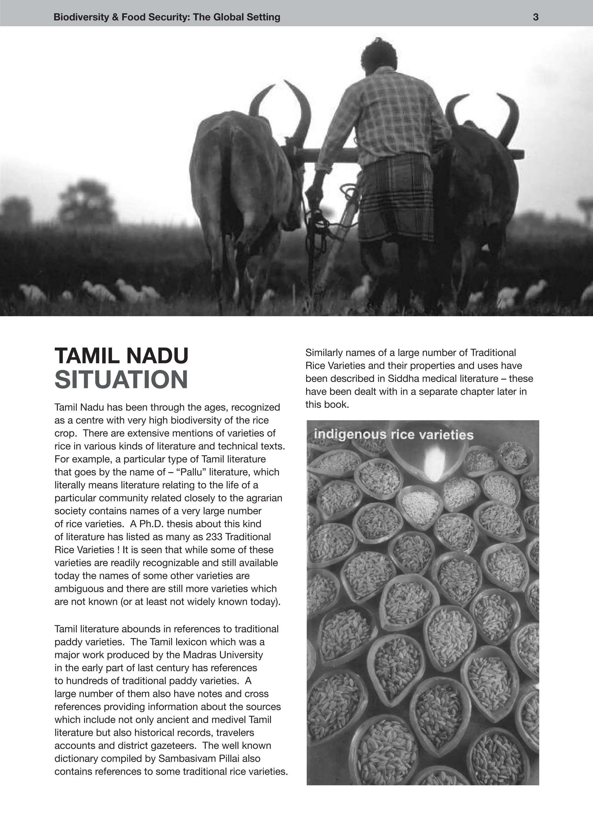 Traditional-Rice-Varieties-of-Tamilnadu_compressed.pdf